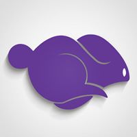 Magrabbit Vietnam Company - iViettech - iViettech